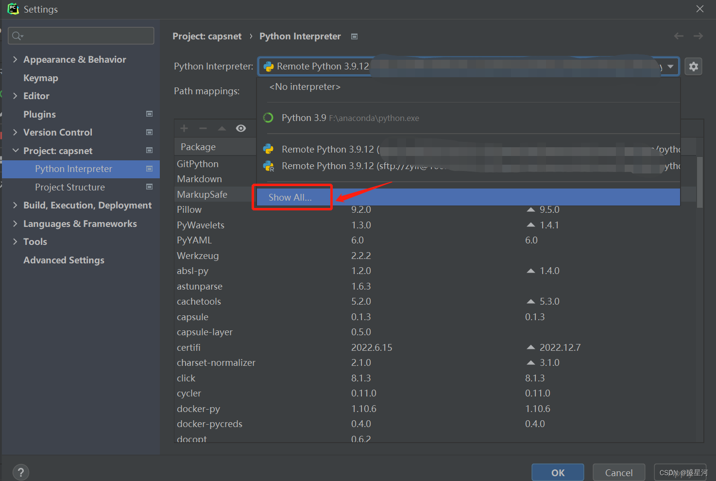 炼丹Error集合（Pycharm版；持续更新）_wandb: network error (connecttimeout), entering re-CSDN博客