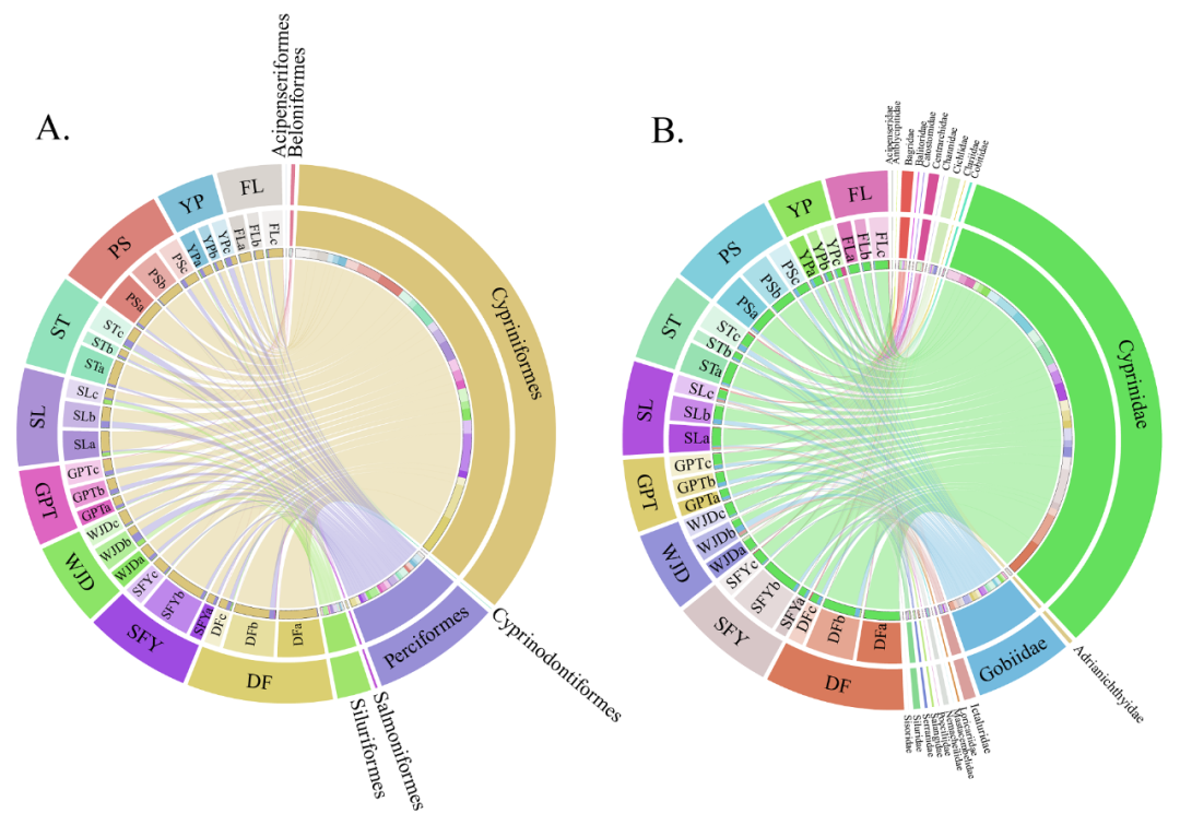 一作分享|eDNA揭示水库梯级影响下乌江流域鱼类多样性的空间分布_大坝环境dna-CSDN博客
