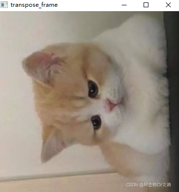 OpenCv图像处理之resize(缩放)、transpose、rotate(旋转)、flip(翻转)介绍_cv::resize-CSDN博客
