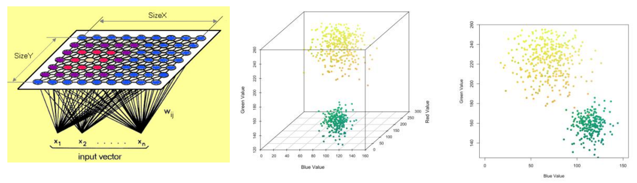 SOM是什么？SOM聚类讲解-CSDN博客