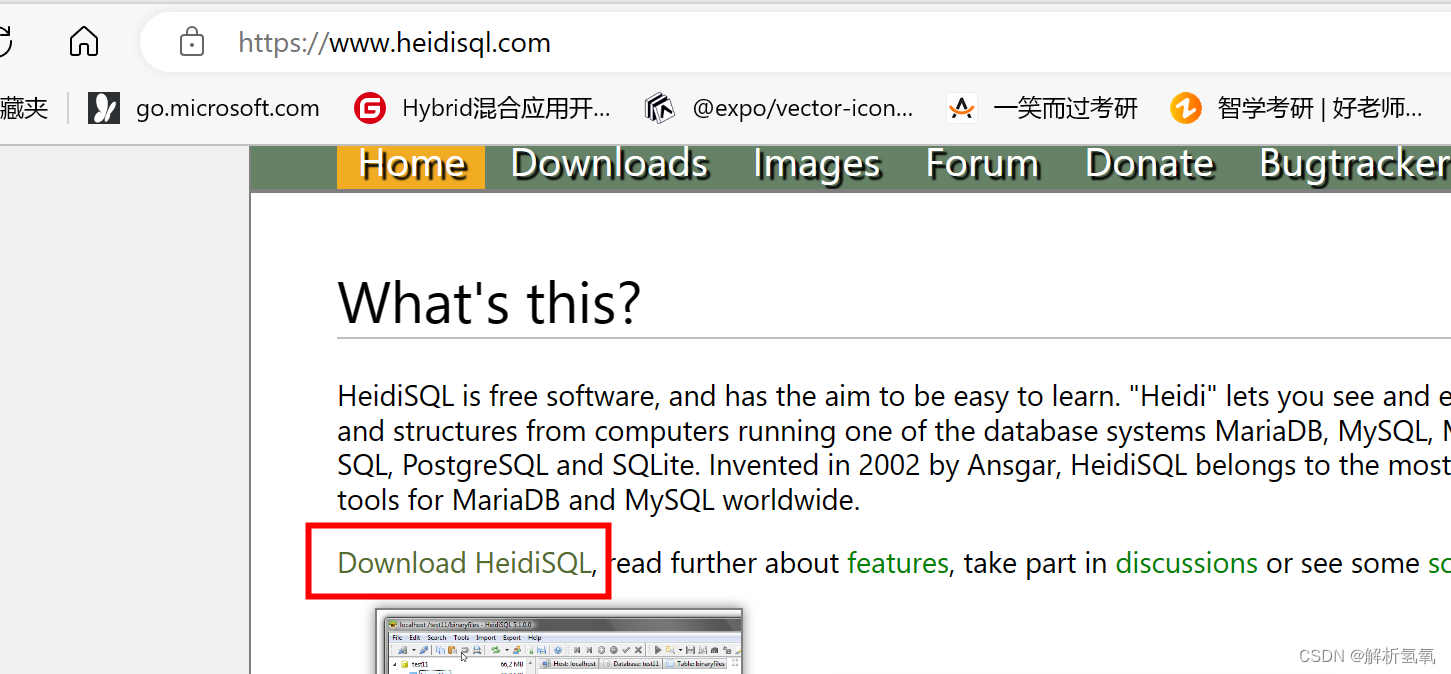 启动后端与数据库：使用heidiSQL配置管理-CSDN博客