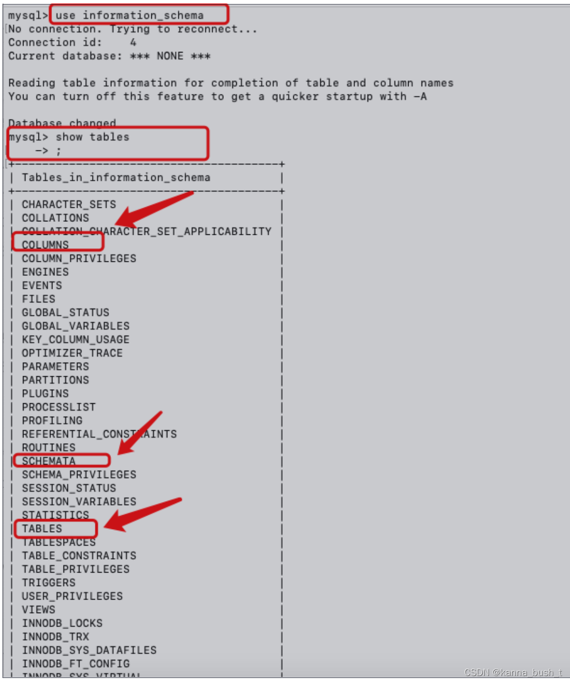 SQL注入-Day15-CSDN博客