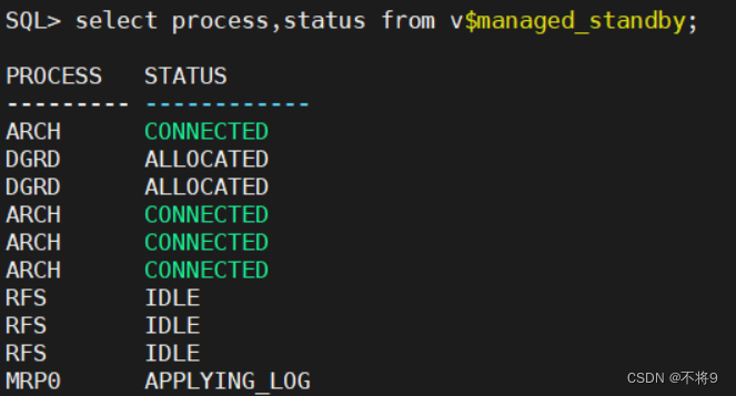 oracle19c adg搭建_oracle 19c adg-CSDN博客