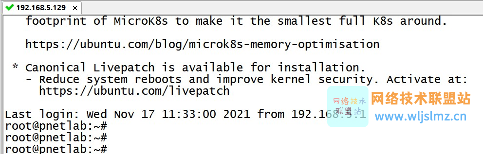精华，如何使用PNETLab安装、添加华为AR路由器？-CSDN博客