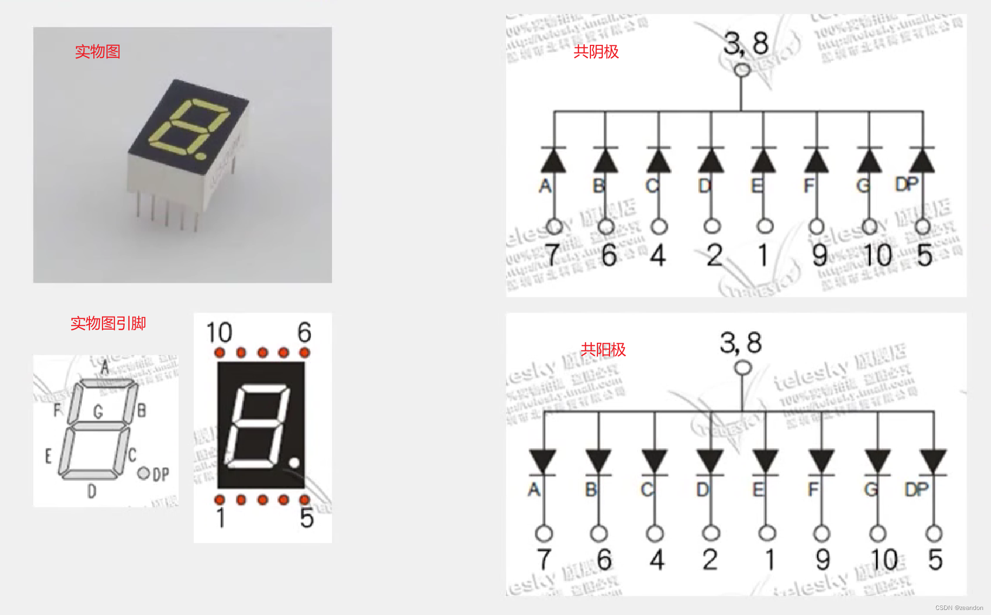 51单片机学习笔记 ——（一）LED数码管_51a2单片机静态数码管-CSDN博客