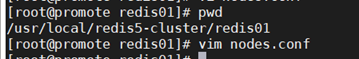 redis集群报错：(error) CLUSTERDOWN The cluster is down-CSDN博客
