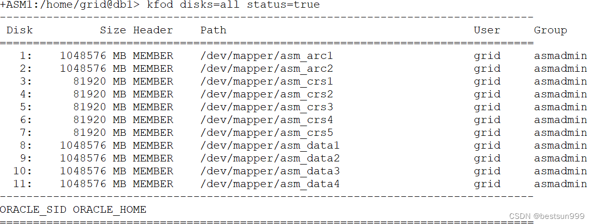 19c ASM命令_kfod disks=all-CSDN博客