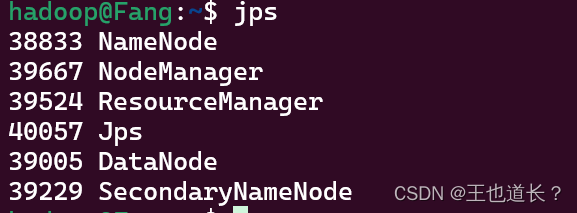 WSL（ubuntu）下安装hadoop单节点_wsl hadoop-CSDN博客