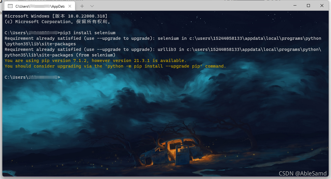 Python安装Selenium-CSDN博客