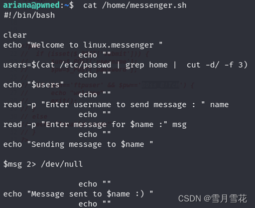 vulnhub靶机的Pwned解题分享_vulnhub靶场pwn题-CSDN博客
