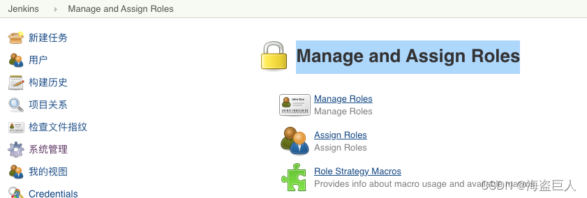 Jenkins 权限管理_the restrict project naming configuration is not s-CSDN博客