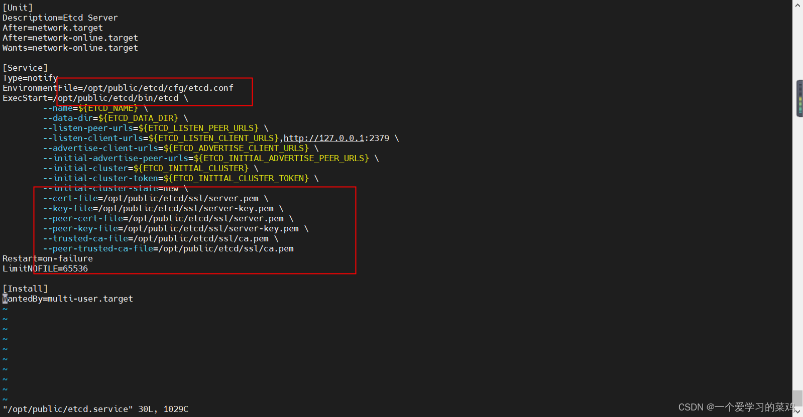 etcd集群启动报错：conflicting environment variable “ETCD_NAME“ is shadowed by corresponding command ...