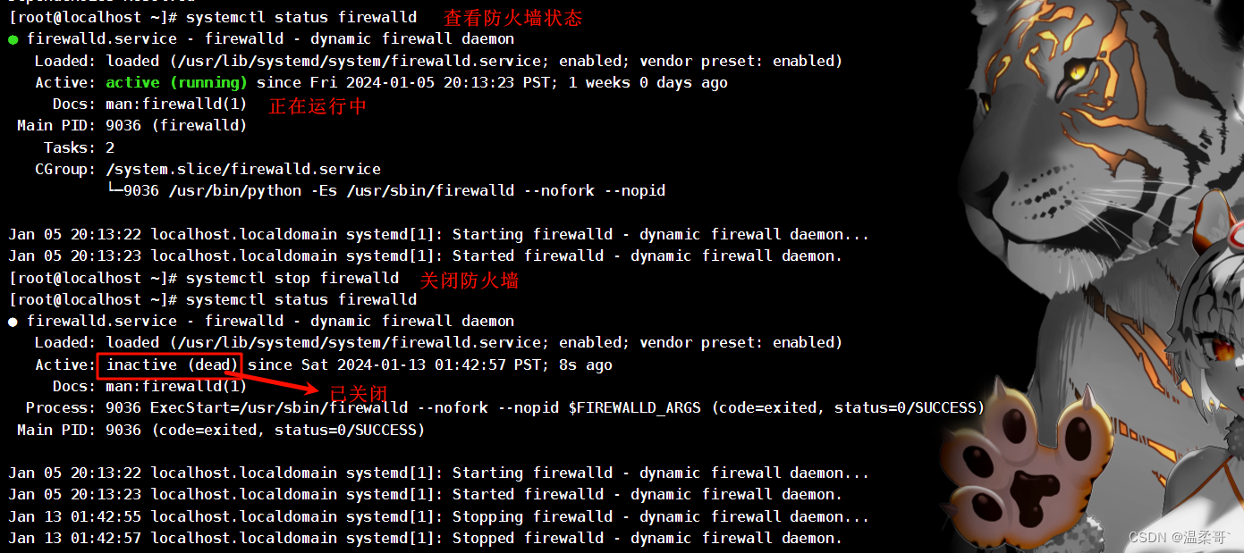 Linux系统中使用systemctl命令控制软件的启动和关闭linux Service 开机不启动 Systemctl Disable Csdn博客