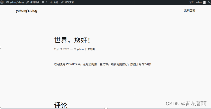 Ubuntu22.04安装WordPress教程（利用nginx环境和MariaDB数据库，安装使用WordPress）_ubuntu 22.04安装wordpress-CSDN博客