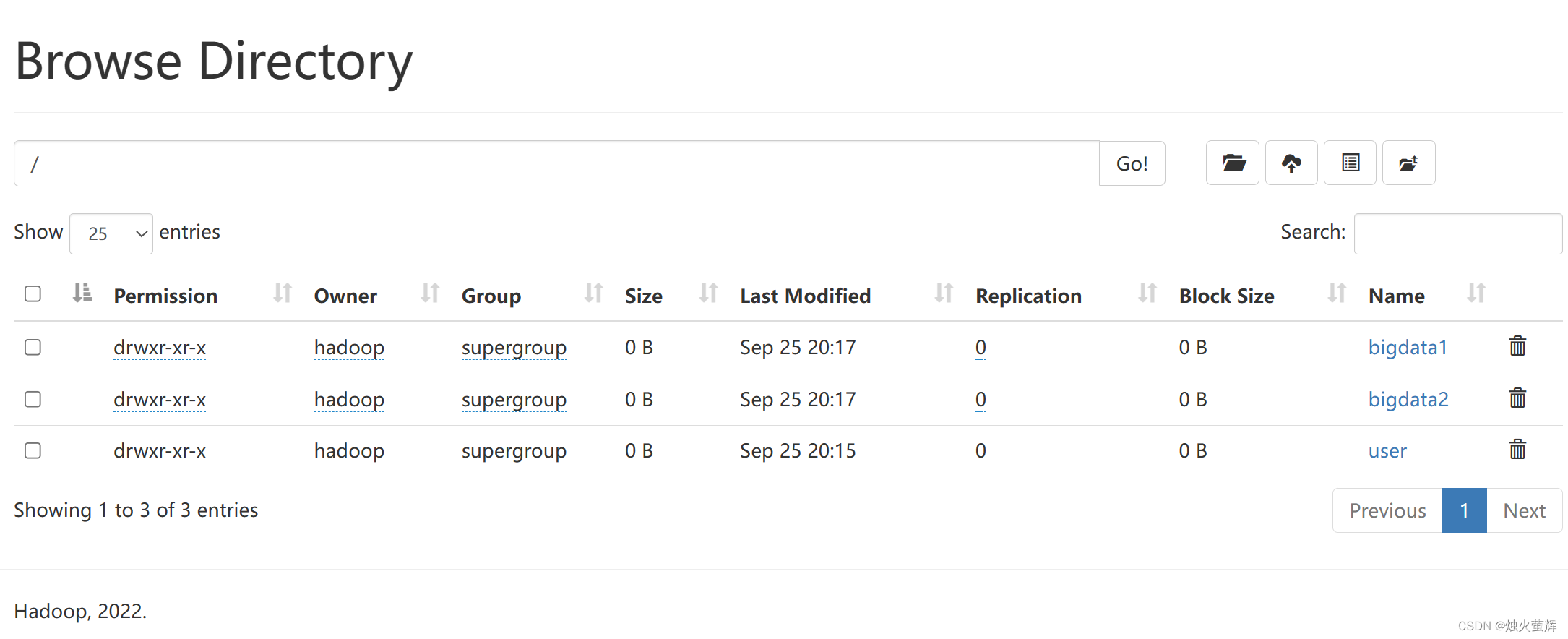 「大数据-2.2」使用命令操作HDFS文件系统-CSDN博客
