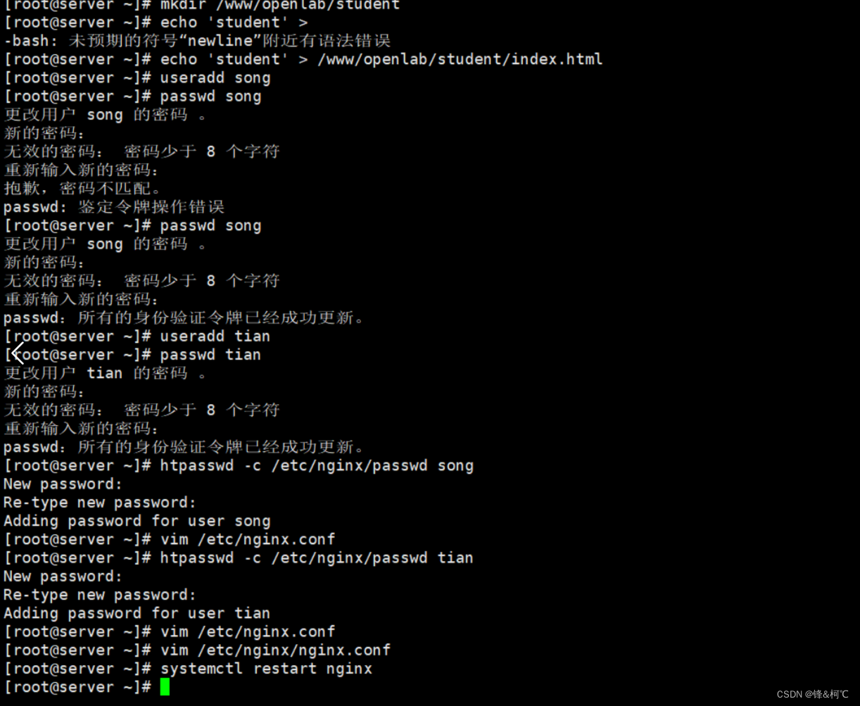 构建OpenLab网站：步骤指南与安全设置,-CSDN博客