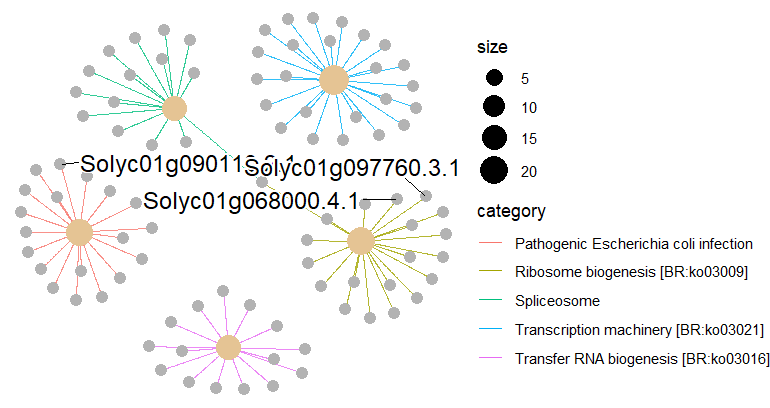 模式植物构建orgDb数据库 | 以org.Slycompersicum.eg.db为例_org.ljaponicusr.eg.db-CSDN博客