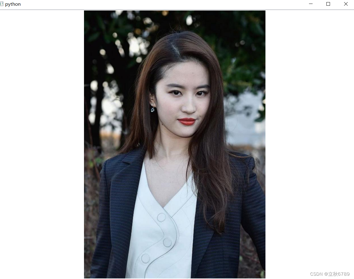 pyqt实现图片滚轮缩放大小_qgraphviwe通过滚轮调整图像大小python-CSDN博客