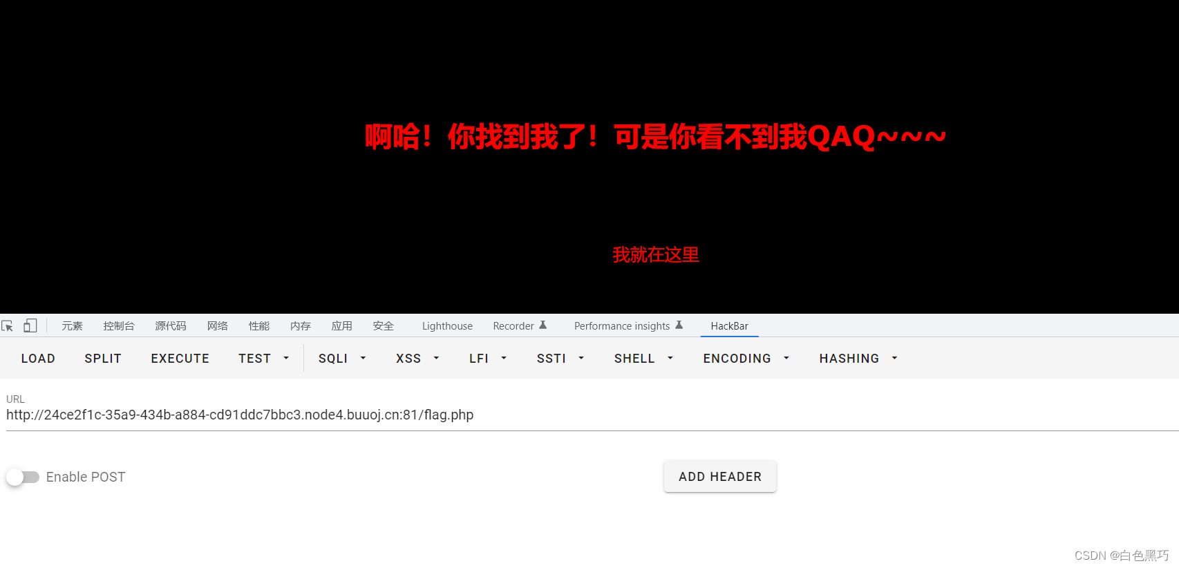 [极客大挑战 2019]Secret File 1（php伪协议）-CSDN博客