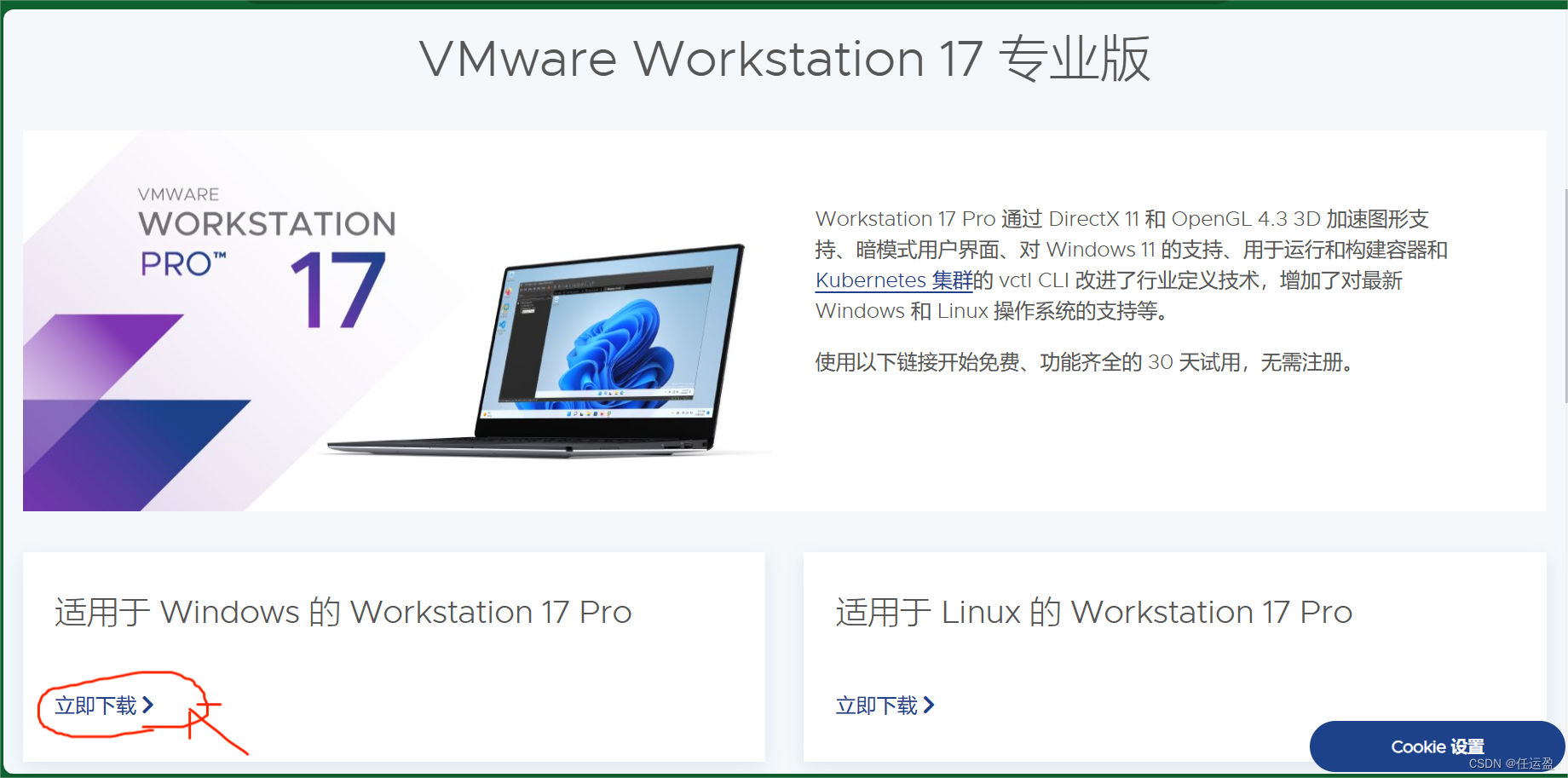 VMware 17 下载安装教程，以及在VMware 17 上安装Cent OS 7 的虚拟机教程（超详细）_vmware17-CSDN博客