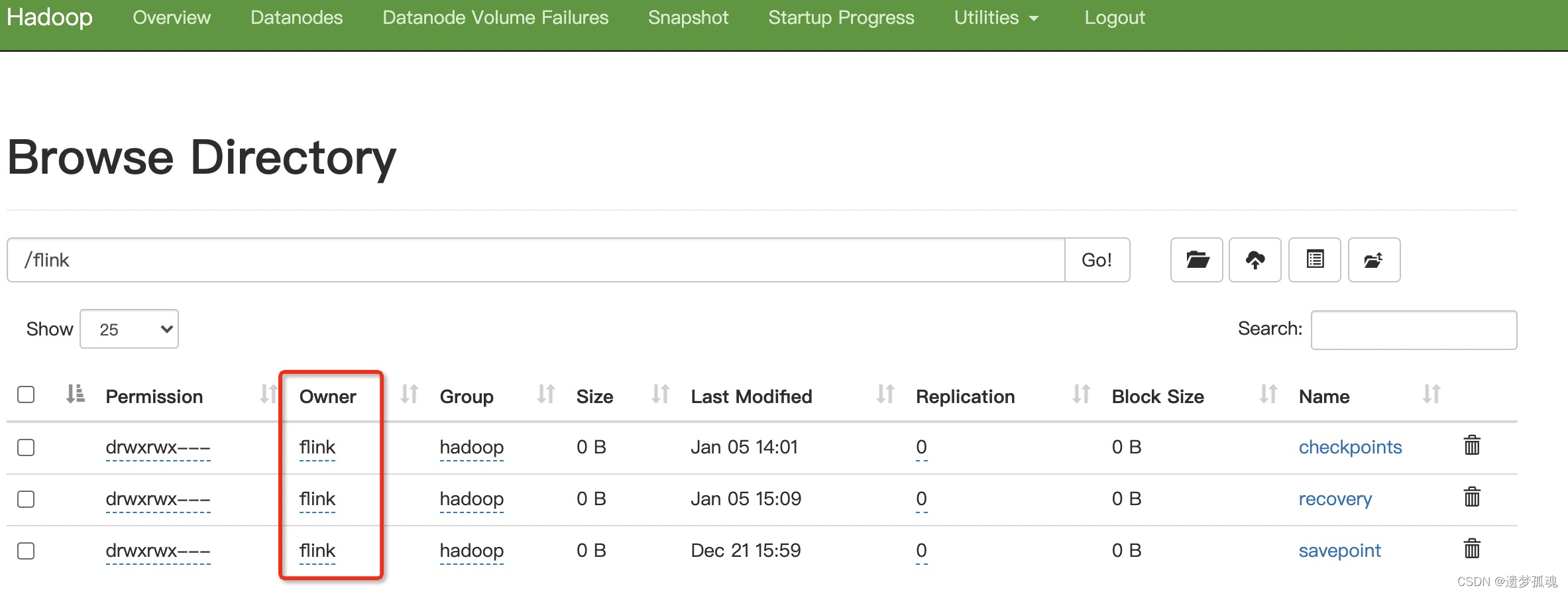 Permission denied: user=root, access=EXECUTE, inode=“/flink“:flink:hadoop:drwxrwx---_shutting ...