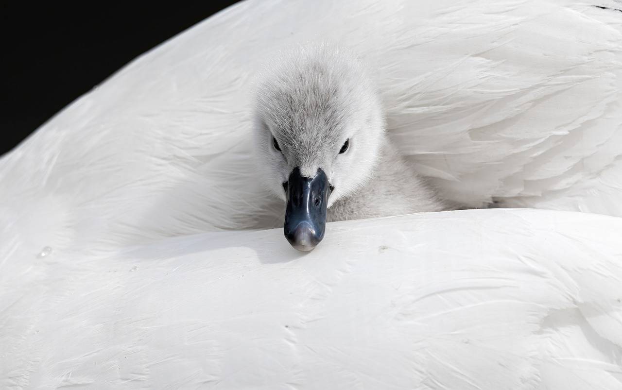 各品种的ETF期权多少钱？-CSDN博客