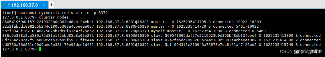 redis集群报错：No reachable node in cluster-CSDN博客