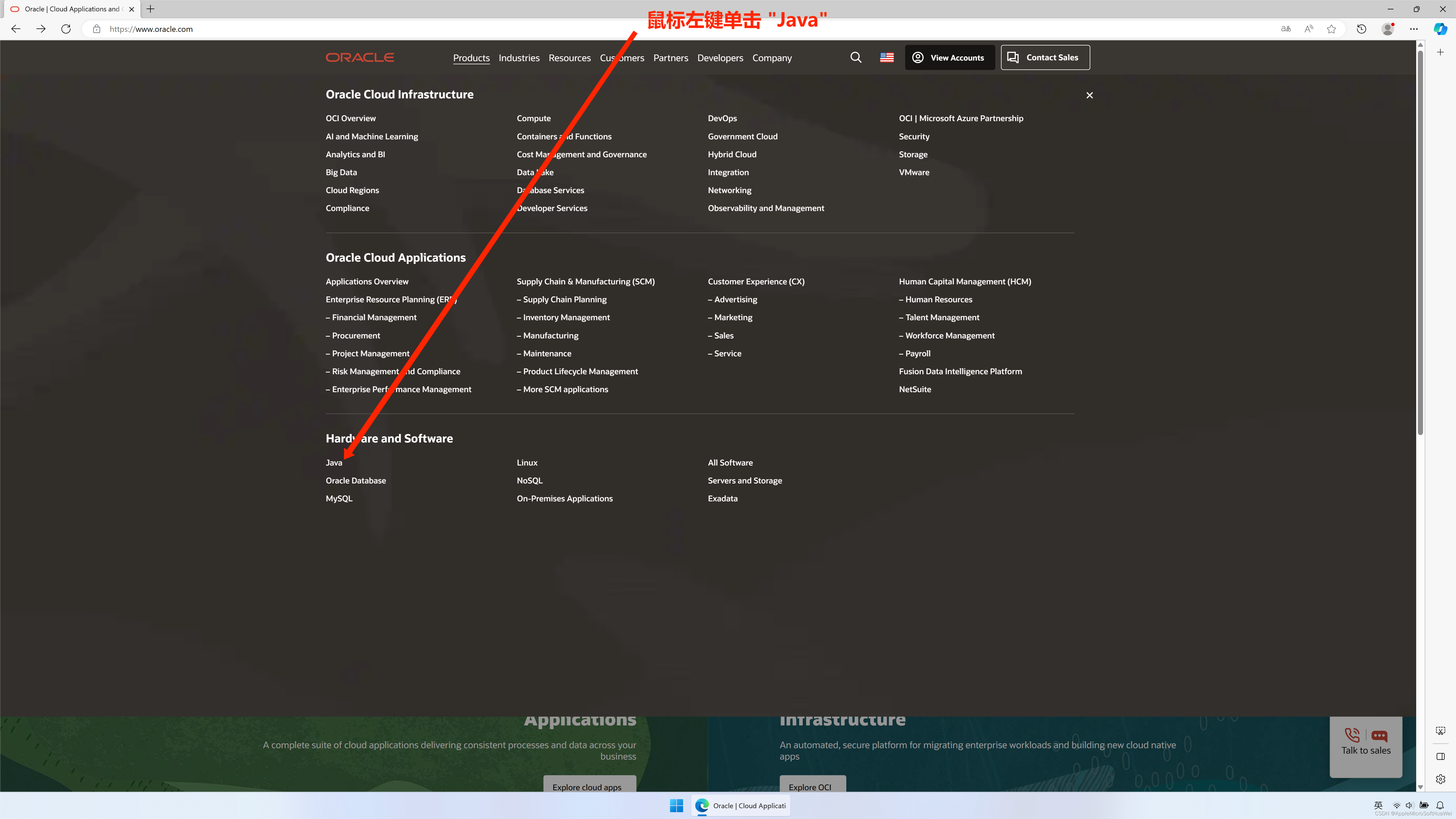 Java Development Kit (JDK21) 下载、解压、配置_jdk21下载-CSDN博客