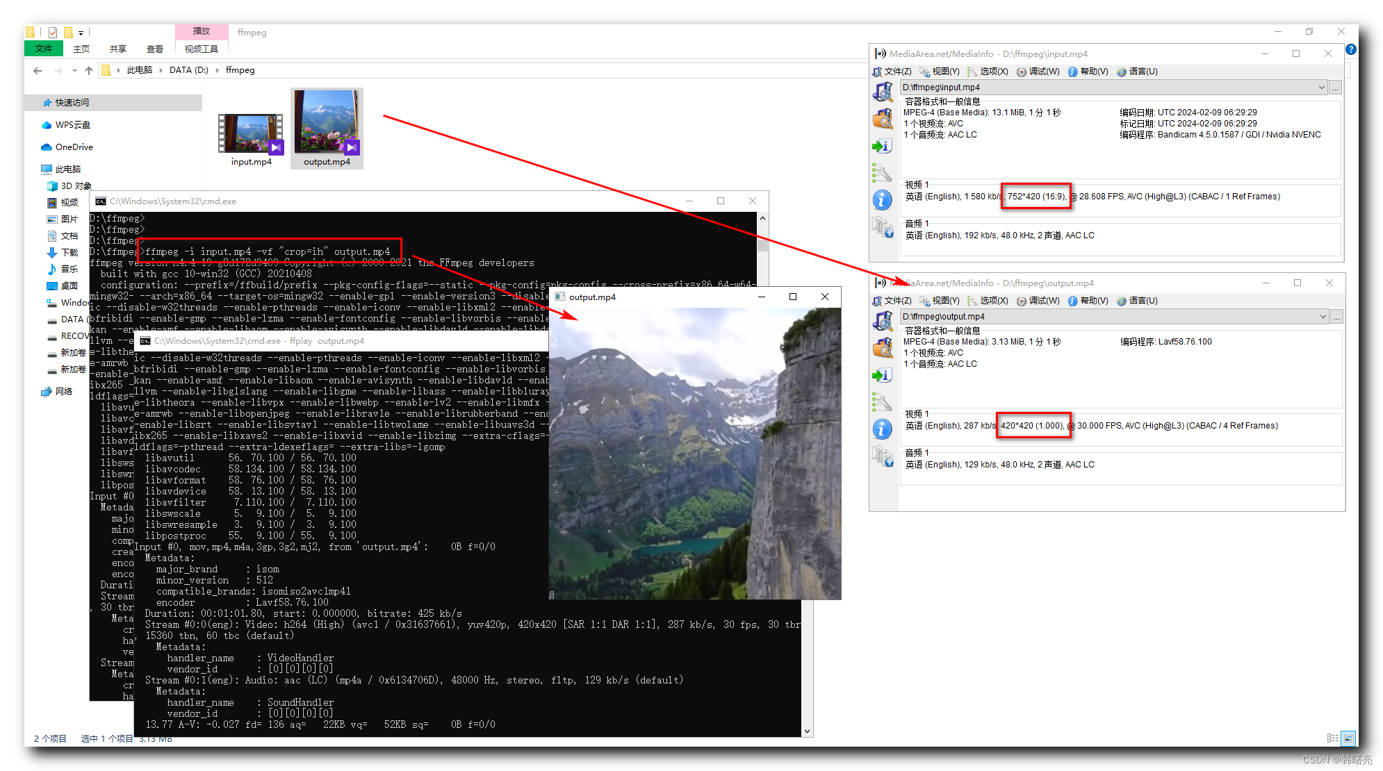 【FFmpeg】Filter 过滤器 ② ( 裁剪过滤器 Crop Filter | 裁剪过滤器语法 | 裁剪过滤器内置变量 | 裁剪过滤器常用用法 )_ffmpeg crop-CSDN博客