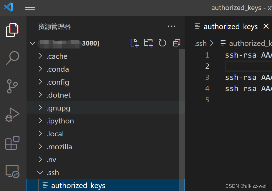 Visual Studio Code连接远程服务器连接ssh，并设置免密登录以及汉化_vs code ssh-CSDN博客