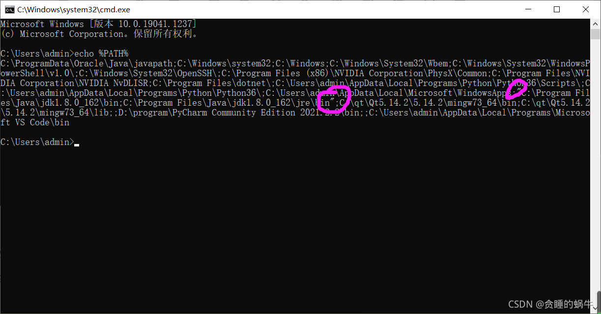 vscode报错：The environment variable ‘Path‘ seems to have some paths containing the ‘“‘ character ...