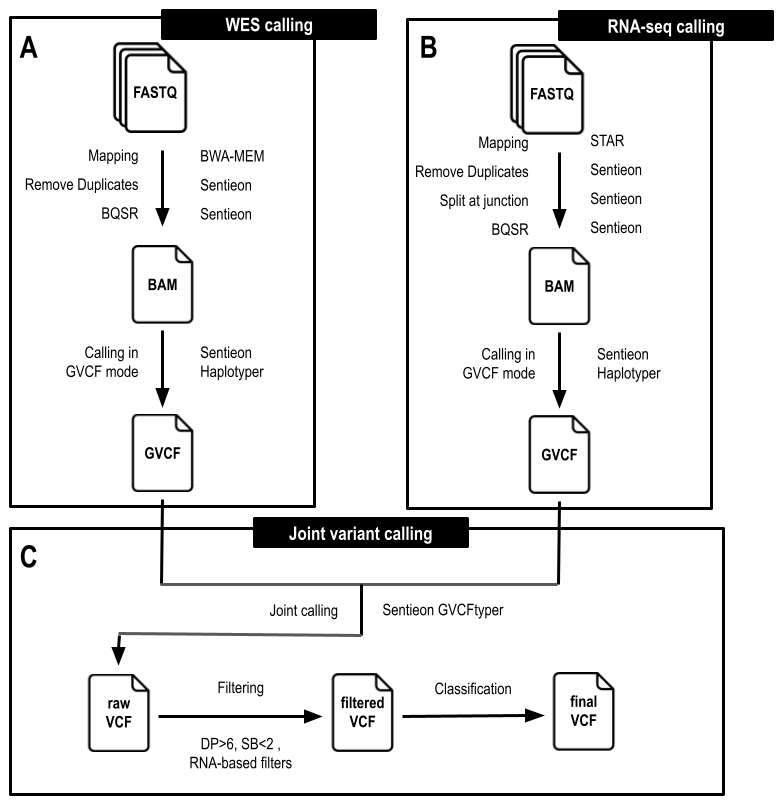 文献解读-多组学-第十八期|《整合 WES 和 RNA-Seq 数据以进行短变异发现》-CSDN博客
