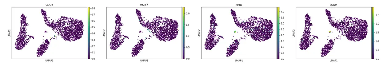 10X单细胞（10X空间转录组）数据分析之Consensus Non-negative Matrix factorization (cNMF)_cnmf 单细胞-CSDN博客