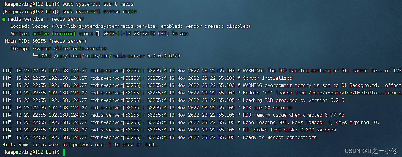 centos7中安装redis插件bloom-filter_redis布谷鸟过滤器插件-CSDN博客