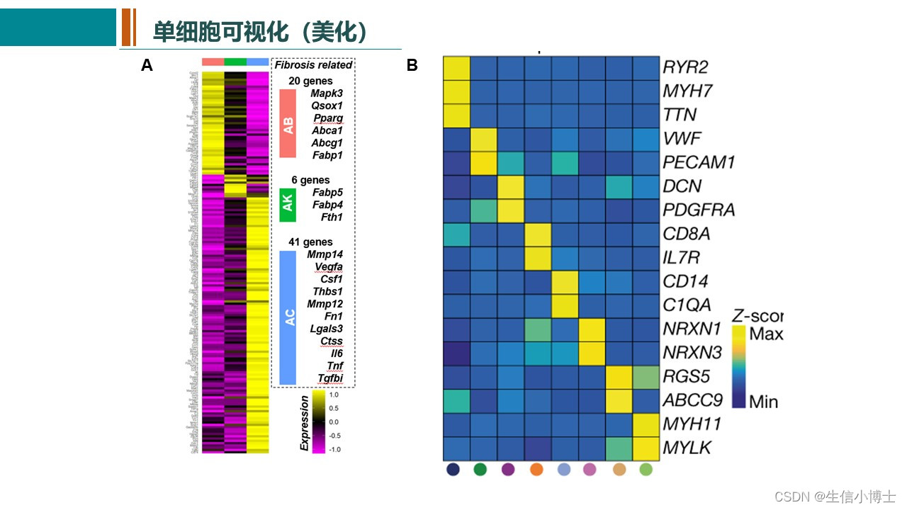 2023-11-28-直播单细胞图表美化-seurat数据结构 featureplot dotplot vlnplot_nebulosa如何分组-CSDN博客