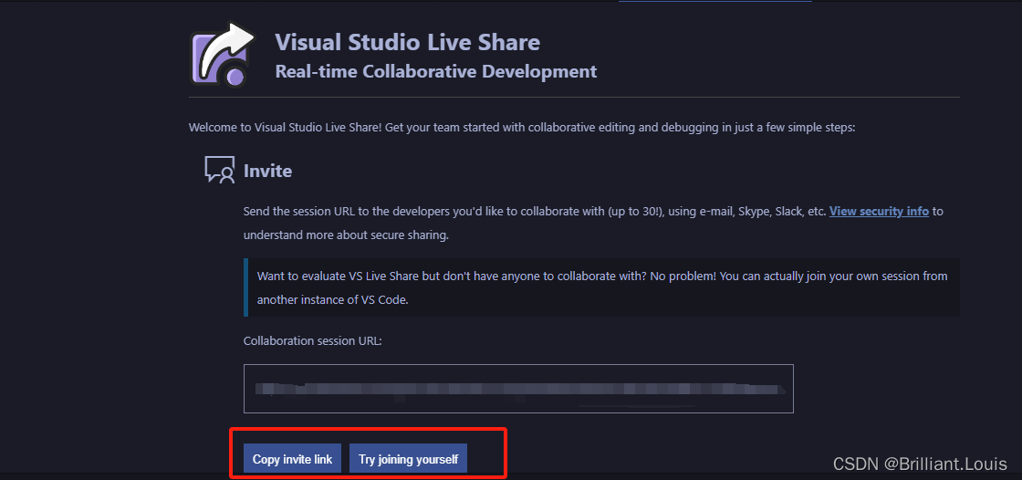 实时编辑代码神器LiveShare_vscode live share-CSDN博客