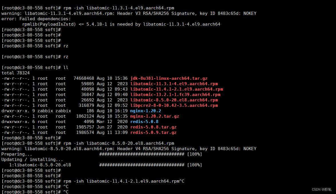 OpenEuler 安装redis服务_openeuler安装redis-CSDN博客