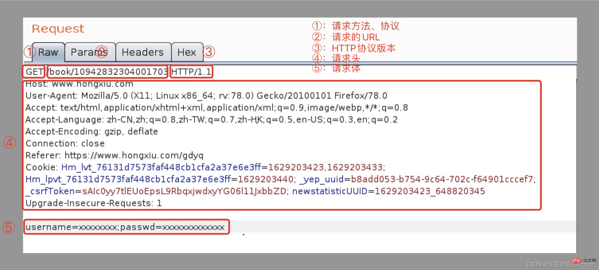 Python接口自动化测试必备基础之http协议详解！-CSDN博客