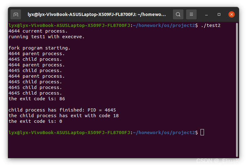 操作系统实验——简单理解fork()与execve()的使用与区别（附源码）_execve和fork区别-CSDN博客