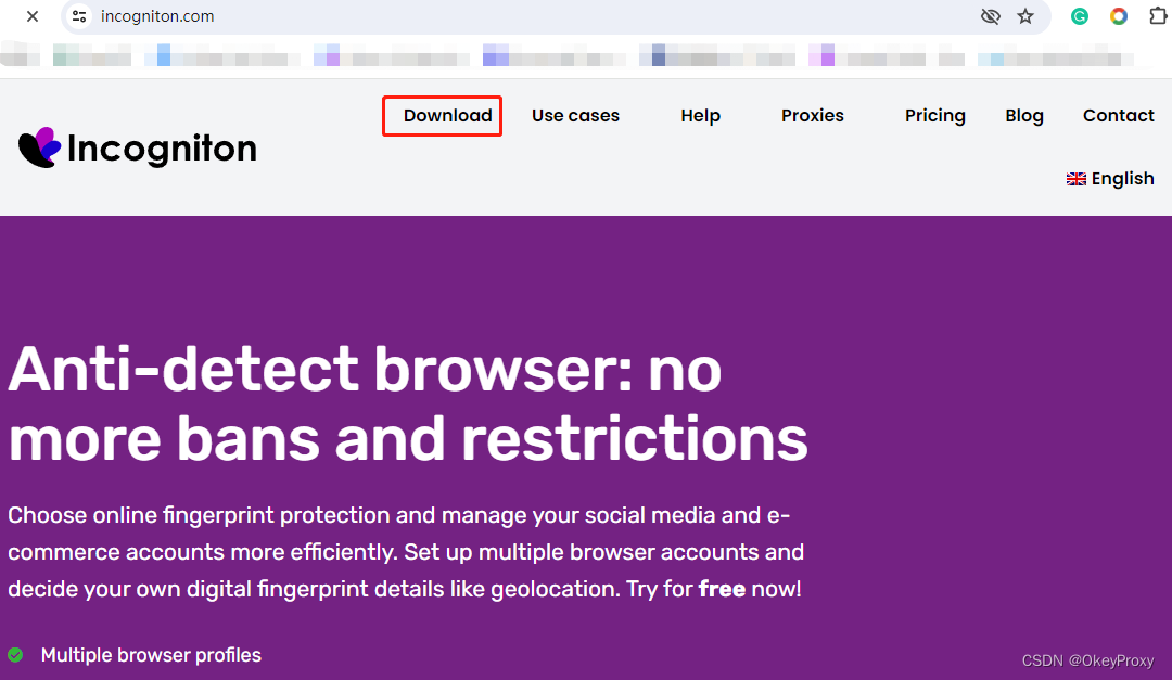 Incogniton流覽器使用代理詳細教程 Csdn博客 