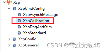 Davinci配置CanXcp功能_xcp配置-CSDN博客