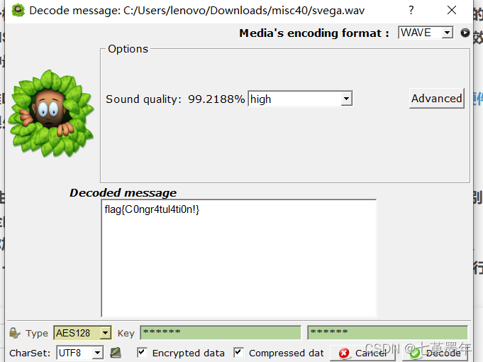 河南省网络安全高校战队联盟CTF训练营- misc04-音频隐写_河南省网络安全高校战队联盟csdn-CSDN博客