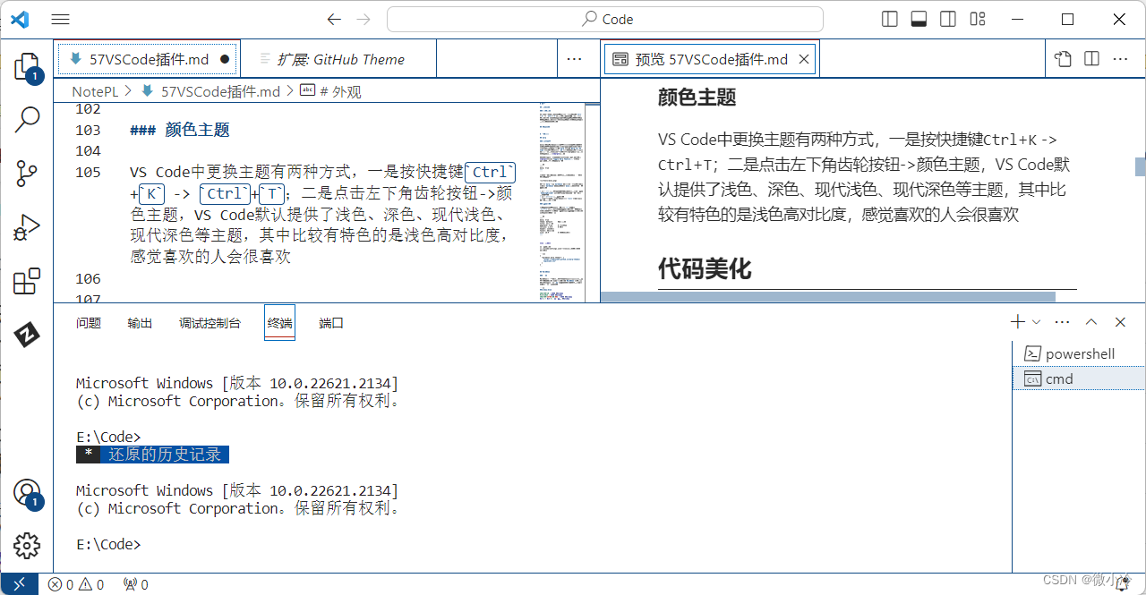 VSCode色彩与图标主题详解：流行插件与实用功能-CSDN博客