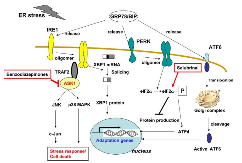 AbMole| 揭示调节 ASK1 抑制性磷酸化新机制_ask1机制通路-CSDN博客