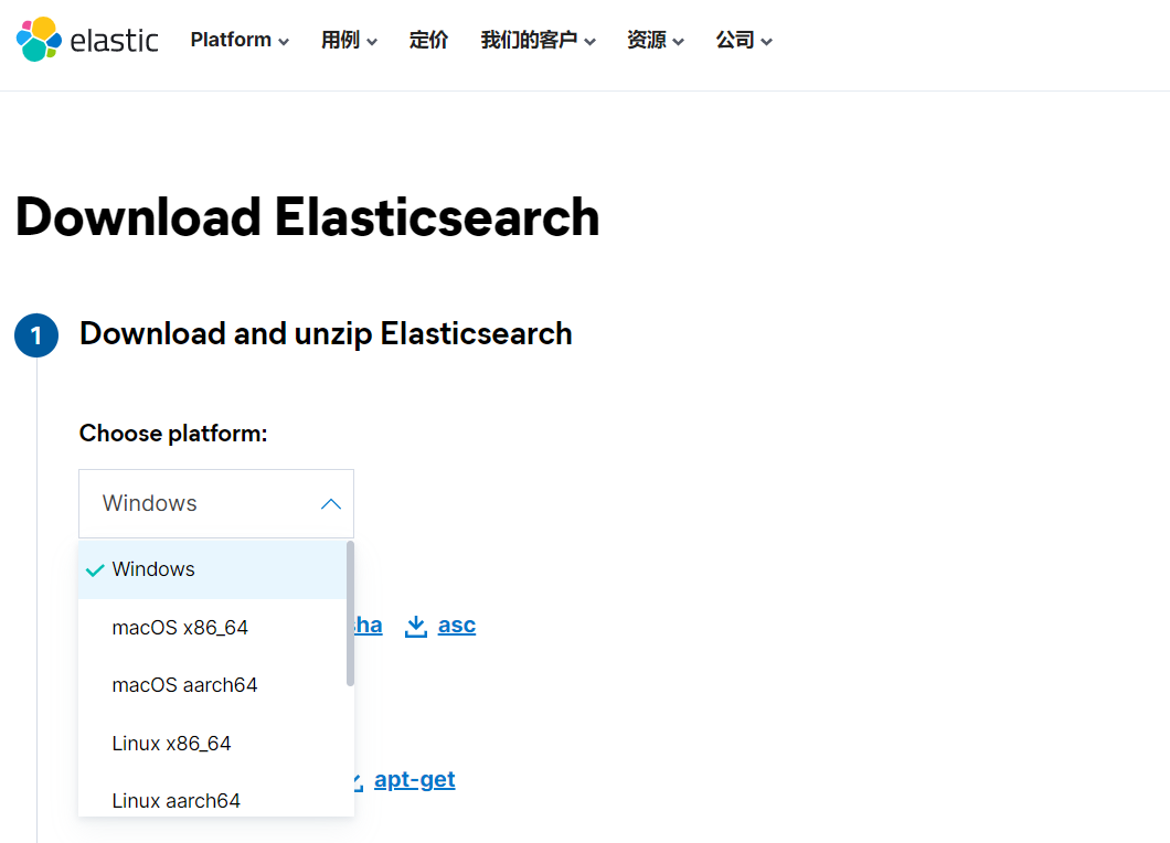Windows 上 ElasticSearch 8 的安装以及配置_elasticsearch8安装-CSDN博客