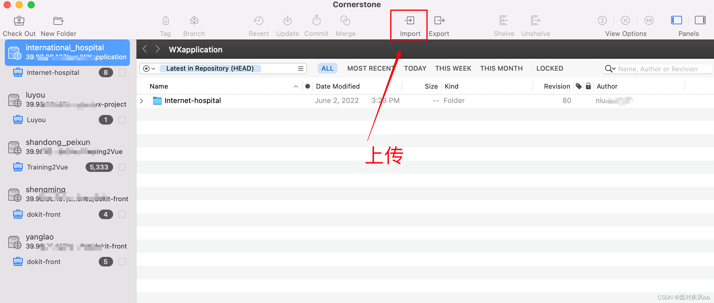 Mac使用cornerstone的操作使用和问题记录及不同图标的含义，持续更新..._mac cornerstone-CSDN博客
