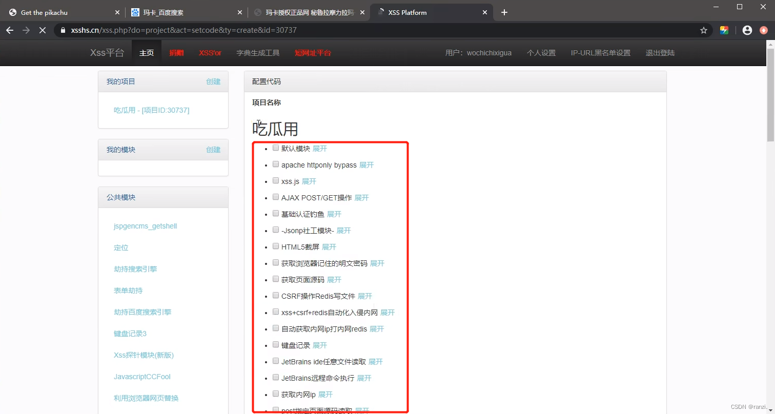 Web漏洞-XSS平台简介-相关知识点补充（cookie与session）-CSDN博客