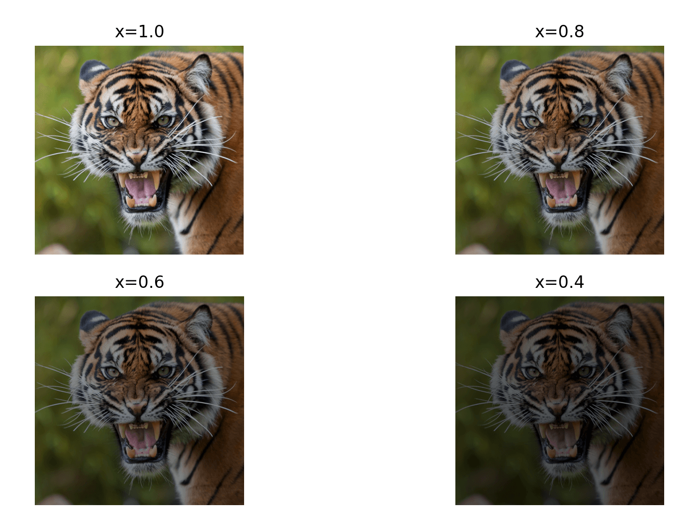 【Python数据图形化技术开发】15.Matplotlib imread() 方法_plt.imread-CSDN博客