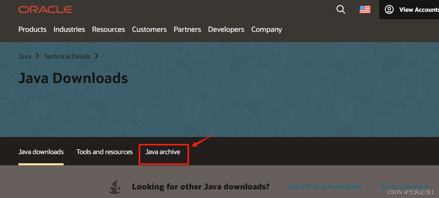 Java JDK官网下载步骤_java官网jdk下载-CSDN博客